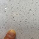 Sparkling White - Quartz - Stone Park USA